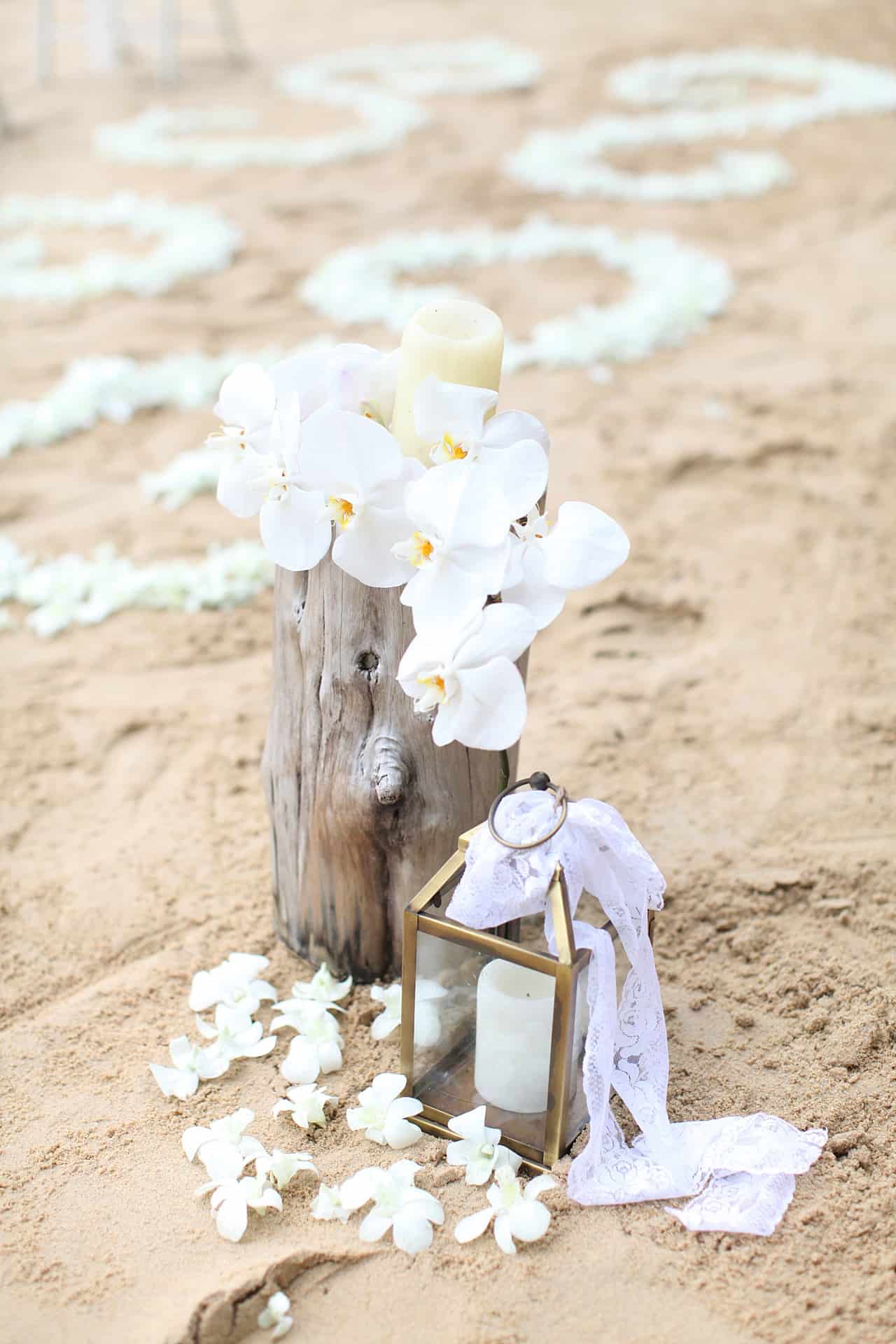 ← Previous Portfolio