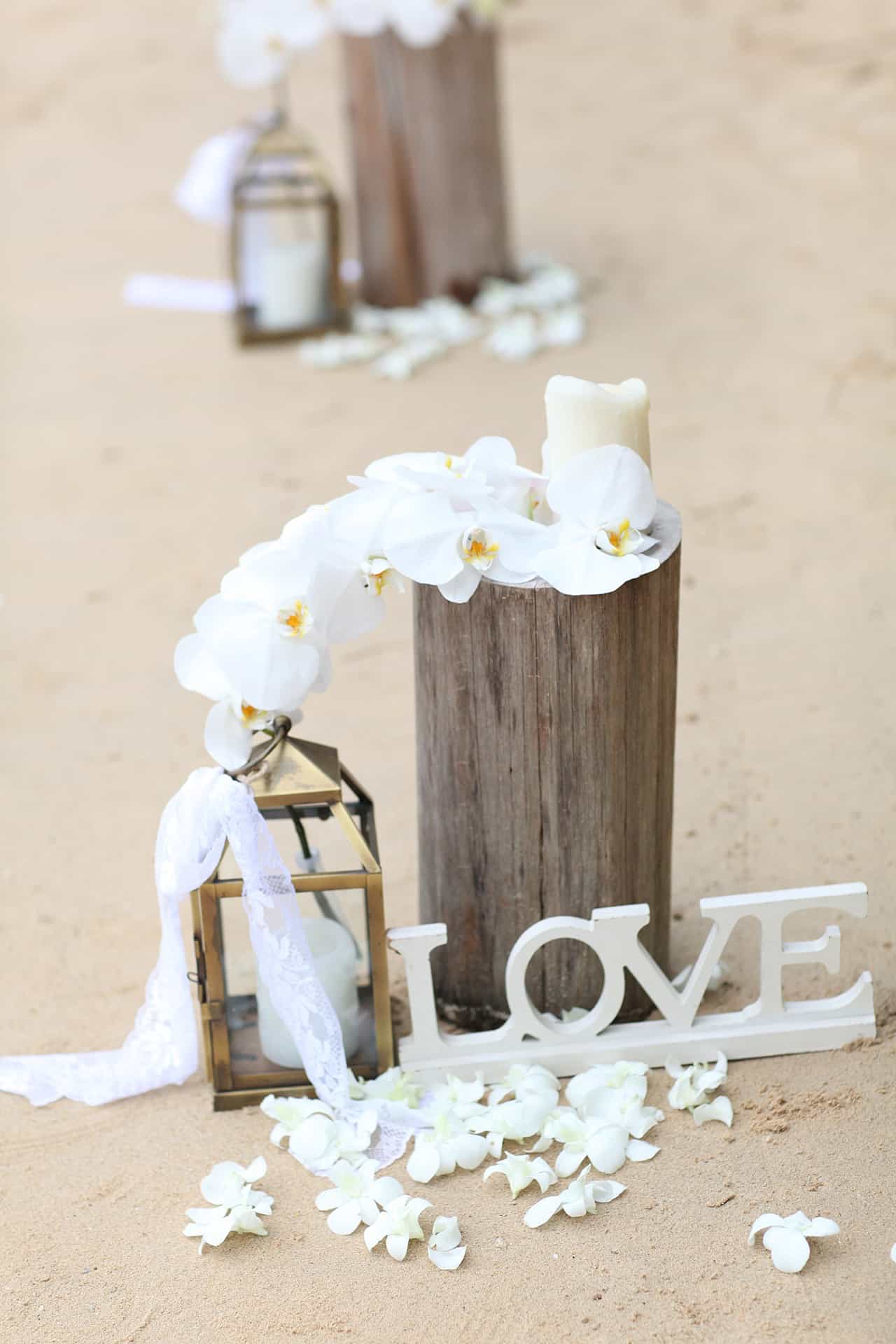 ← Previous Portfolio