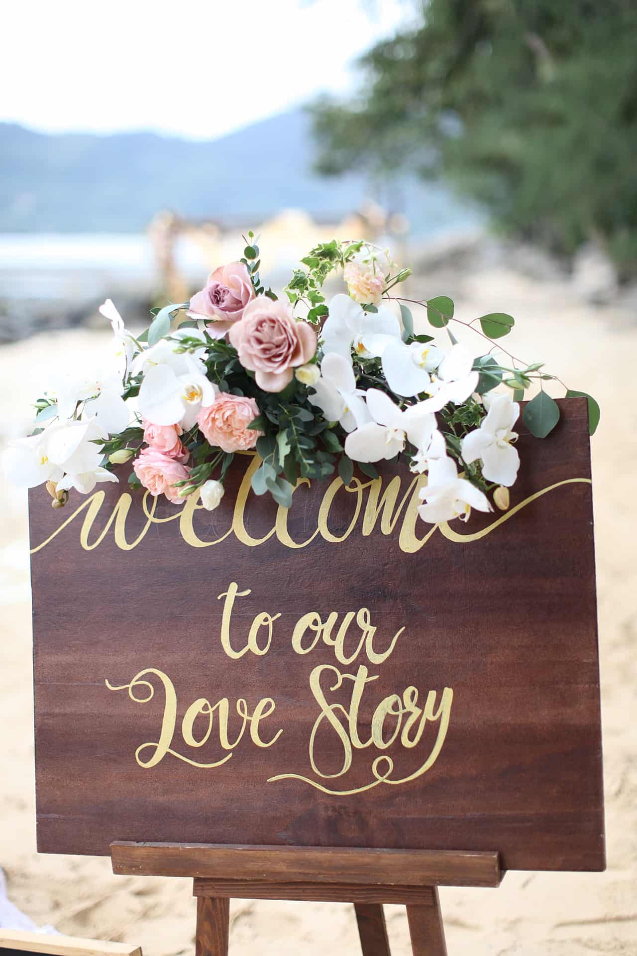 ← Previous Portfolio